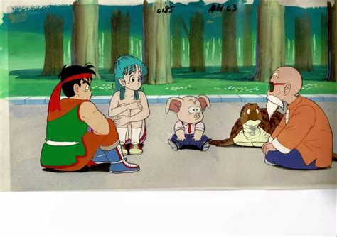 Master Roshi And Launch