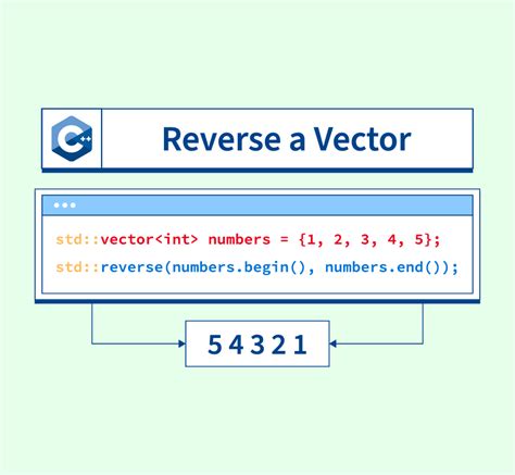 Vector Vector Int Count The Size Of The Vector In C