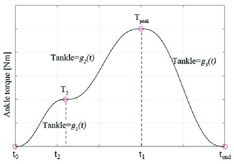 Ankle Torque During The Push Off Phase Ankle Torque During The Download Scientific Diagram