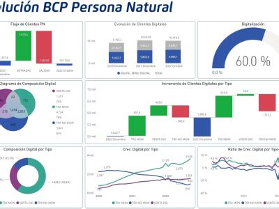 An Interactive Dashboard To Measure All Relevant KPI Upwork