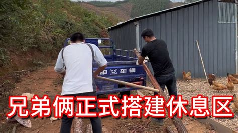 【石頭記事】俩兄弟深山养土鸡，今天把休息区铺上水泥，以后这里会越来越好 Youtube