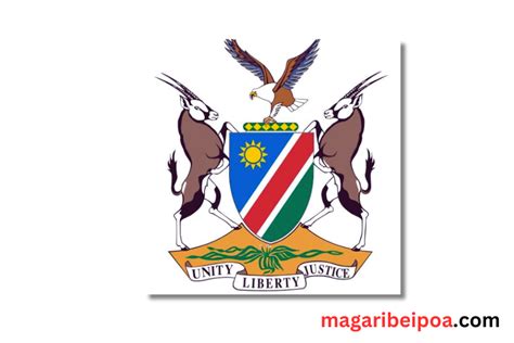 Nssco Results 2025 Grade 11 Magaribeipoa