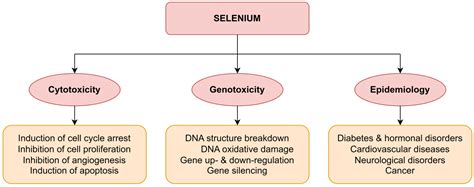 Nanomaterials Free Full Text Biogenic Selenium Nanoparticles In Biomedical Sciences