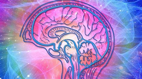 Schizophrenia Risk Gene Linked To Cognitive Deficits In Mice Technology Networks