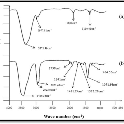 A FTIR Graph Of Stem Extract And B FTIR Graph Of Nanoemulsion Download Scientific Diagram