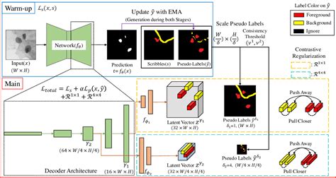 scribble supervised cell segmentation using multiscale contrastive