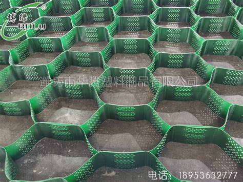博绿牌土工格室用于边坡防护 我们提供土工格室价格 图片 资讯
