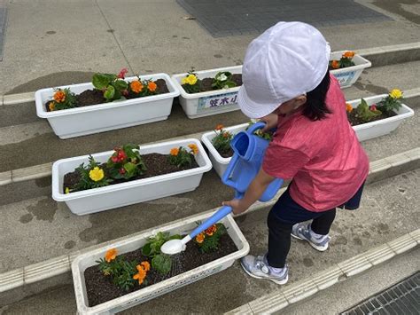 花の苗植え 笠木小学校ブログ