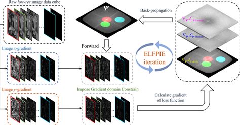 Backpropagation Of Gradient In Elfpie For Updating The Image Spatial Download Scientific