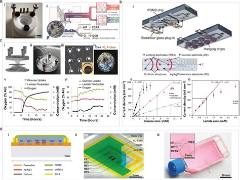 Integration Of Electrochemical Biosensors In Microphysiological Systems