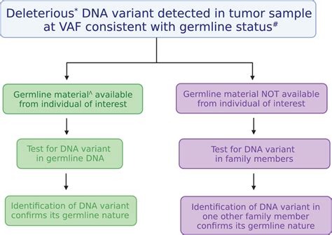 Algorithm For Testing The Germline Nature Of A Dna Variant Identified Download Scientific