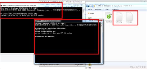 Php Socket服务端与客户端demophp Socket 化验 Csdn博客