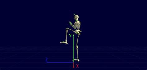 Global Coordinates And Anatomical Planes Bio Kinetics Research