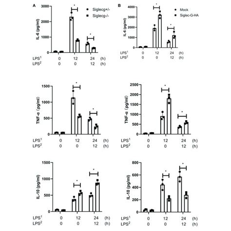 Siglec G Inhibits Of Src Activation Via Shp1 A Immunoblotting Of Download Scientific