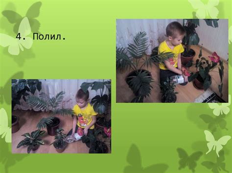 Практическая работа «Учимся ухаживать за комнатными растениями презентация онлайн