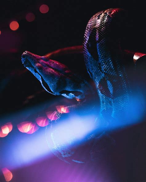 Best Practices For Aligning Your Python Packaging Metadata With Github