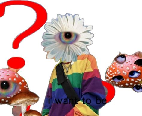 I Want To Be ₊ ⊹ All Tags Weirdcore Dreamcore Webcore