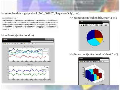 Matlab Bioinformatics Tool Box Pptx