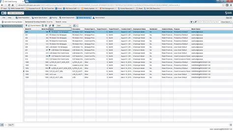 Sas Credit Scoring Sas