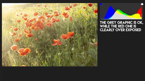 How To Read And Use The Histogram On Your Camera PetaPixel