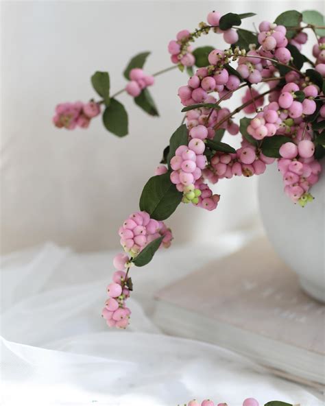 스노우베리 핑크 꽃시장에 가면 필요한 꽃만 사는법이 베로플라워디자인학원 Facebook