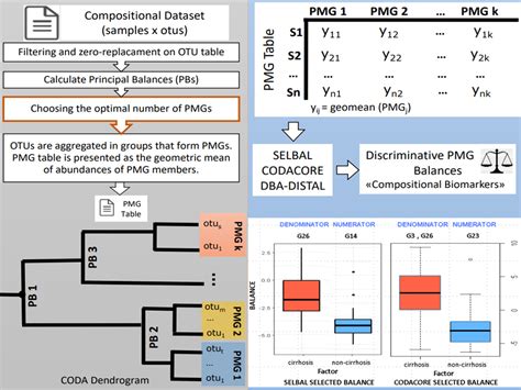 Aslı Boyraz Microbiome Data Analysis Using Compositional Data Approach