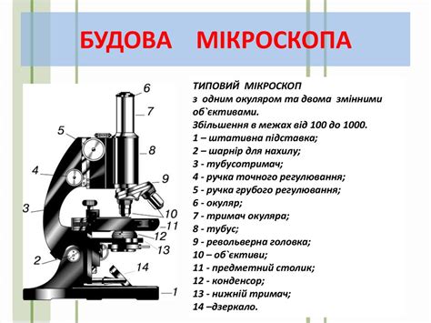 Тваринні клітини презентация онлайн