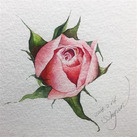 Happy Valentines Day Happyvalentinesday 장미 그리기 그림 꽃그림 베리현 수채화 감성수채화 수채일러스트 수채화