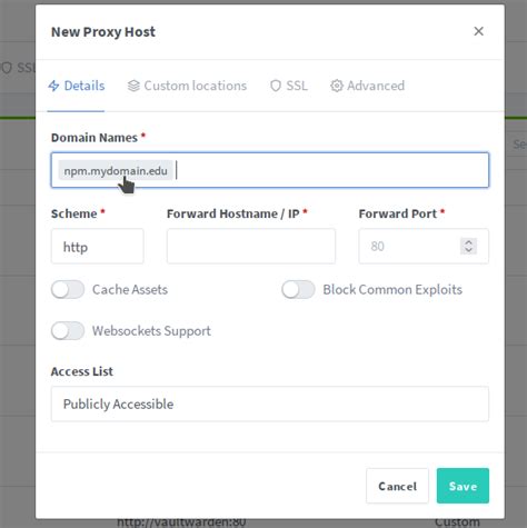 Using Nginx Proxy Manager To Protect Itself