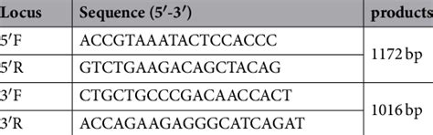 Primers Used For Sex Identification In Embryos Download Scientific Diagram