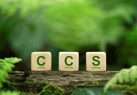 Outlook 2024 Ccs Projects Outlook In 2024