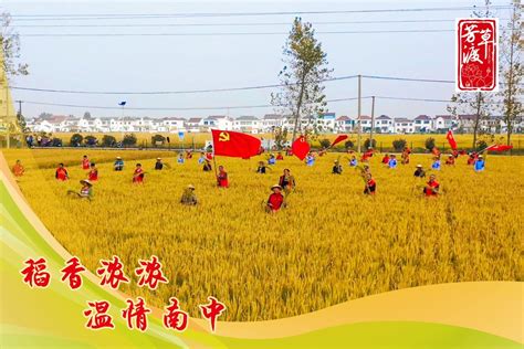 龙潭街道南中村党委田间地头上主题党课 中国江苏网