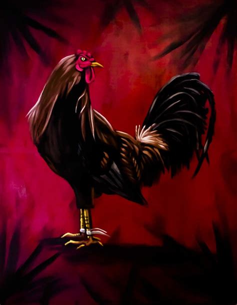 10 Best Gamecock Art Images On Pinterest Harbor Seal Sea Lions And