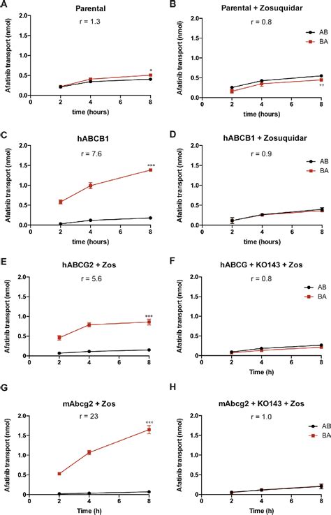 Figure 1 From Breast Cancer Resistance Protein Bcrpabcg2 And P