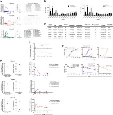 Tcr Clonal Dynamics And Mutation Associated Neoantigen Recognition In