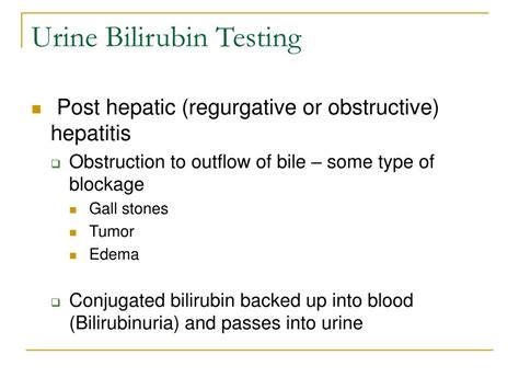 Ppt Clinical Urinalysis Review Powerpoint Presentation Free Download