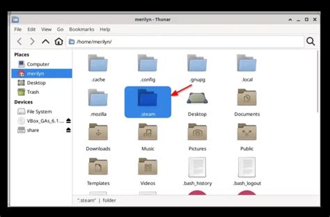 How To Install Steam App In Debian 12 Bookworm Stable FOSTips How To Install Steam App In Debian 12 Bookworm Stable FOSTips