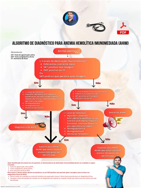 Algoritmo De Diagnóstico Para Anemia Hemolítica Imunomediada Ahim Pdf