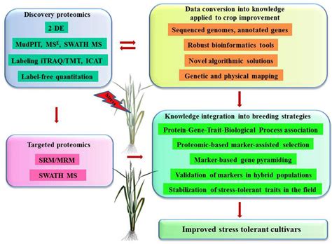 Proteomics Contribution To Biotechnology Of Crop Improvement Future