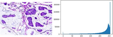 An Example Of The Original Image In RGB Mode And The Histogram Display Download Scientific