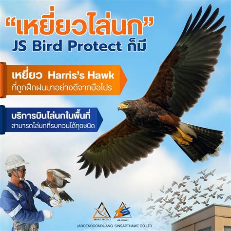 ไล่นกทุกชนิด By Js Bird ไล่นกทุกชนิด By Js Bird Protect
