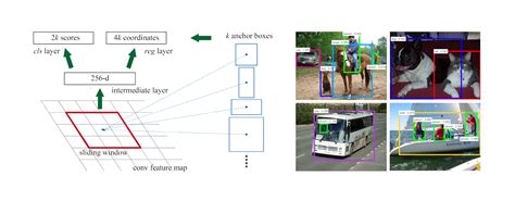 The Star Also Rises Faster R CNN