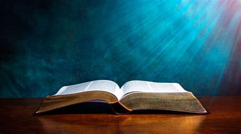 Domingo De La Palabra De Dios 2023 Celebraciones En América Y España