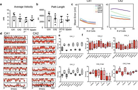 Mouse Movement Behavior And Ca2 And Ca1 Neuron Spatial Decoding