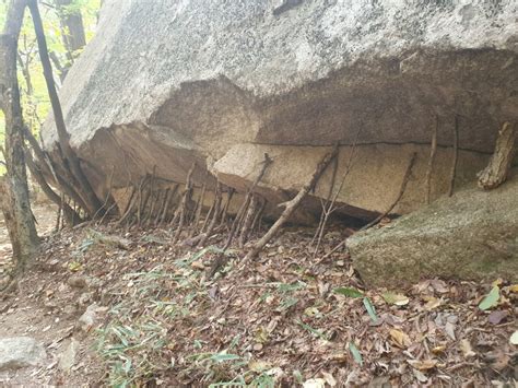 산에 있는 바위에 나무를 받쳐놓은 이유 지식in