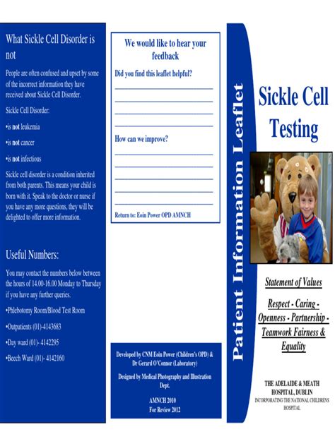 Sickle Cell Testing Pdf Medical Specialties Clinical Medicine