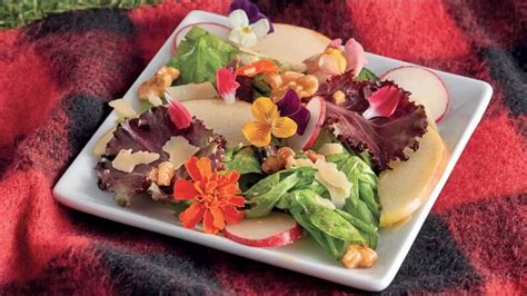 Newest Minecraft Cookbook Teaches You To Make Real Life Gamewatcher