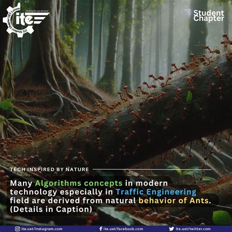 Ite Uet On Linkedin Algorithm Traffic Transportation Ite