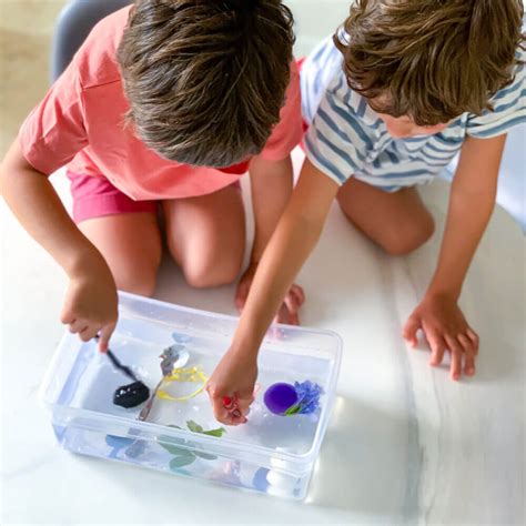 Sink Or Float Experiment All About Density Days Of Play