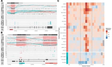 Nanopore Allele Specific Methylation Captures Known Differential Download Scientific Diagram